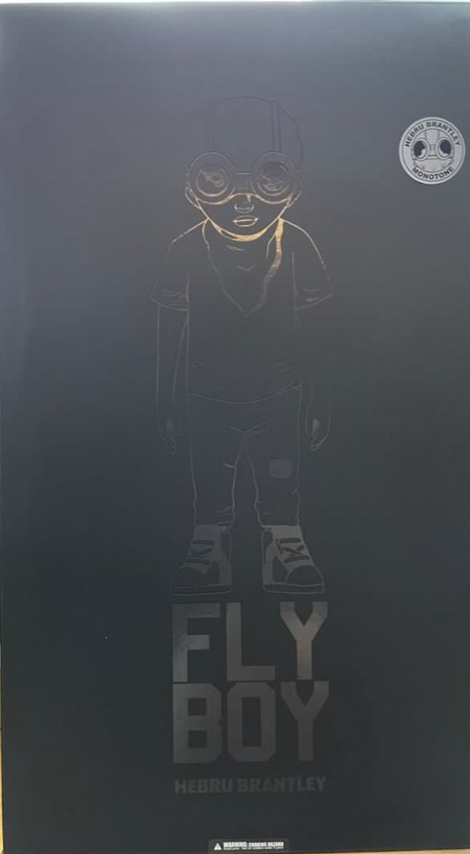 Hebru Brantley - Flyboy VOLT MELLOW YELLOW – Toyol Toys