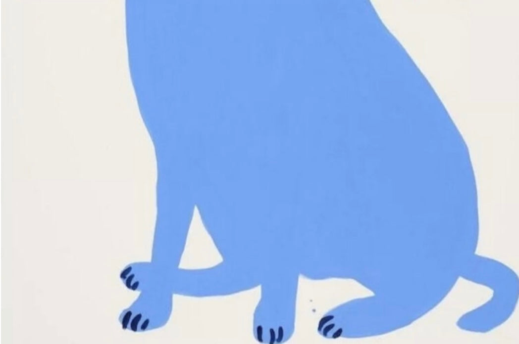 David Shrigley - Old Dog – Toyol Toys